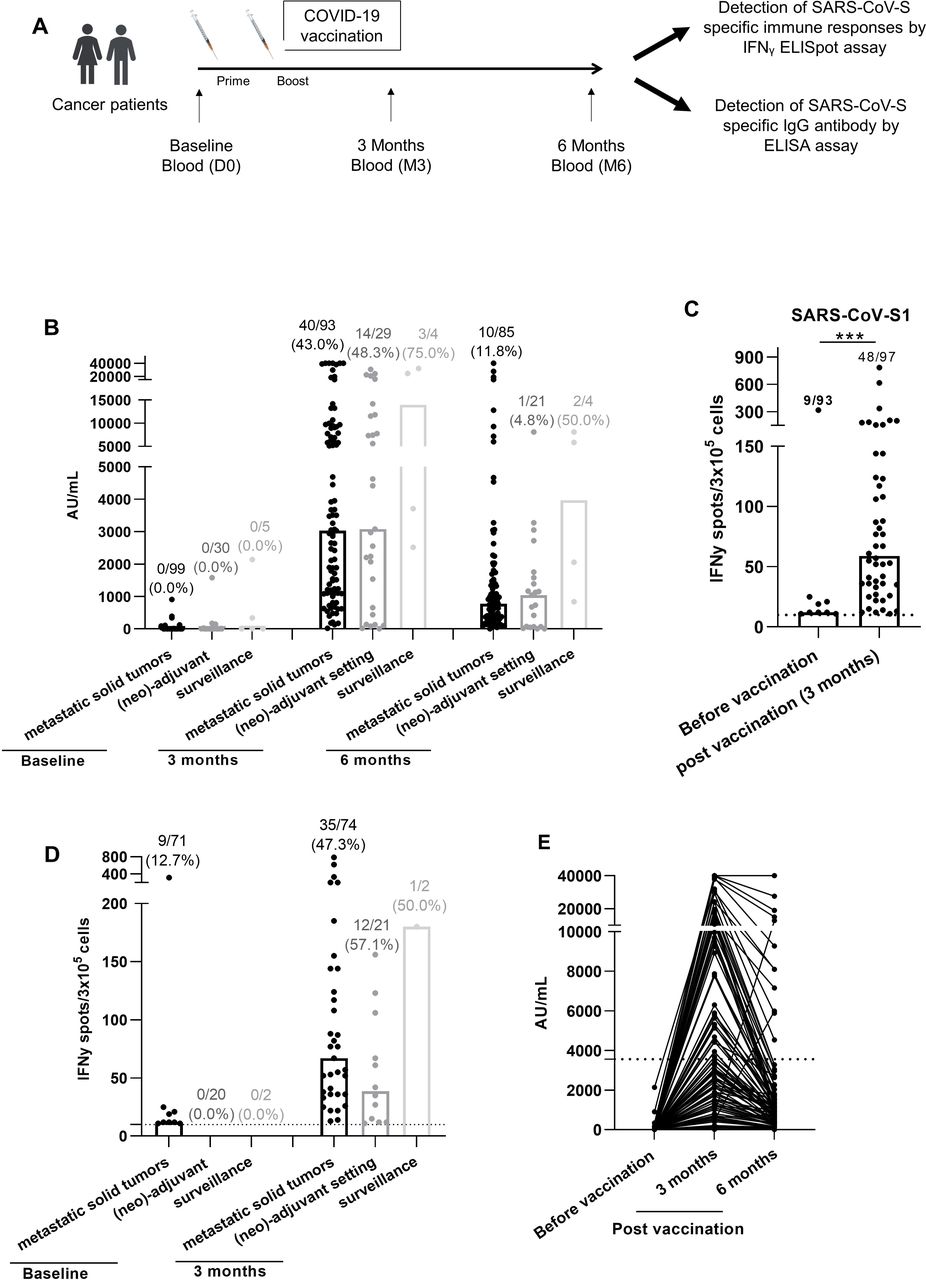 Predictive biomarkers and specific immune responses of COVID-19 mRNA ...