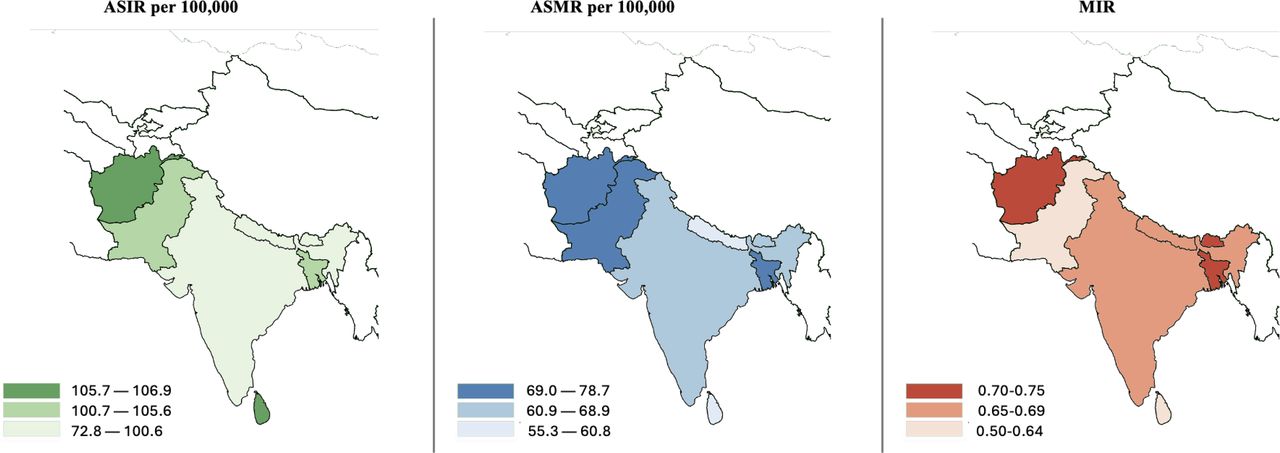 Cancer burden across the South Asian Association for Regional ...