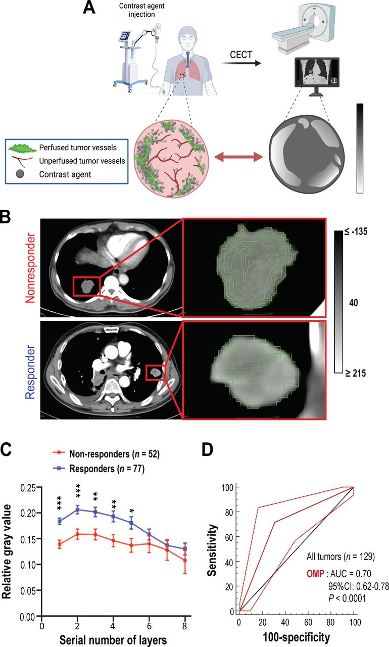 Baseline tumour vessel perfusion as a non-invasive predictive biomarker ...