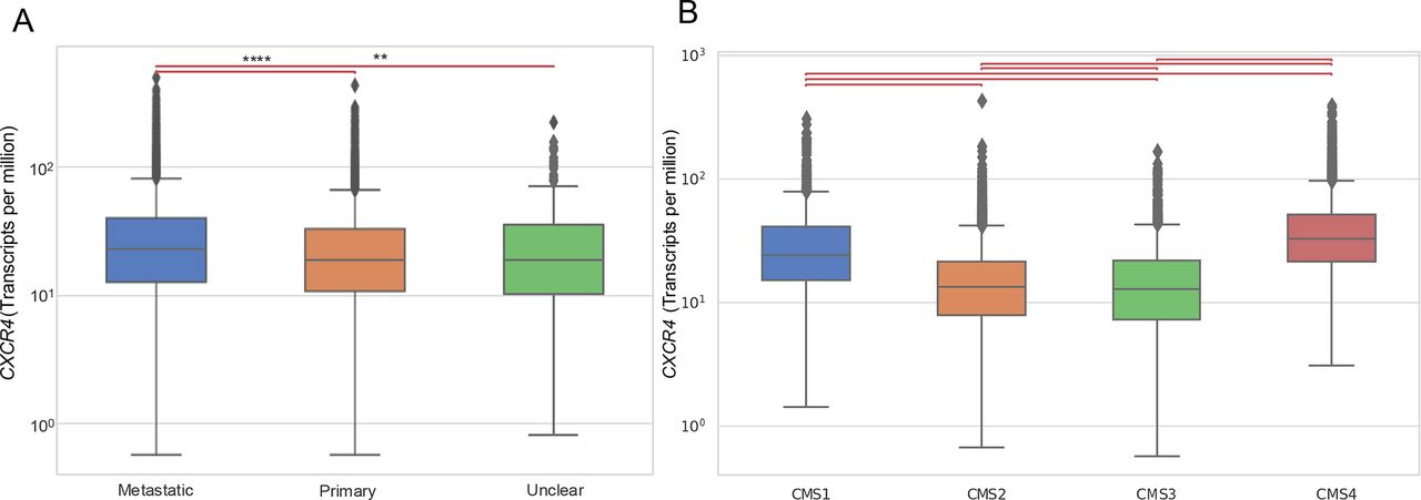 CXCR4 mRNA overexpression: an indicator of poor survival and predictor ...